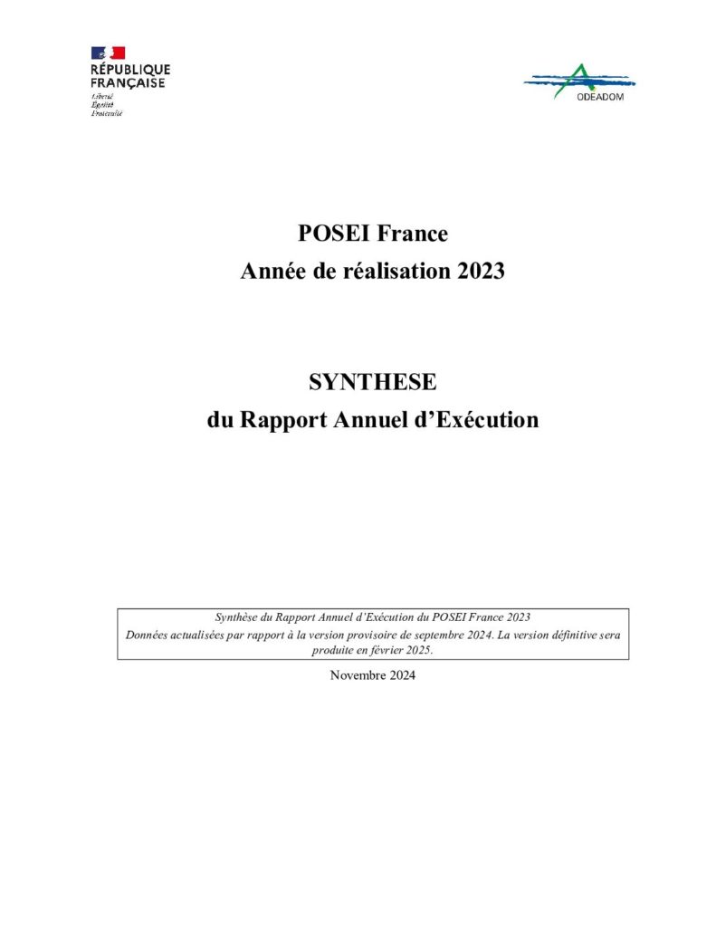 RAE-POSEI-2023_Synthèse_novembre_2024 – ODEADOM, Office de ...